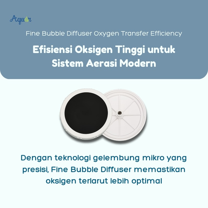 Fine Bubble Diffuser Oxygen Transfer Efficiency - Aerasi Efisien.